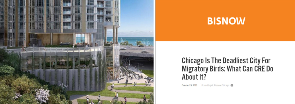 bKL’s Tom Kerwin Comments on Bird-Friendly Design - bKL Architecture